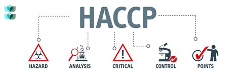 Haccp Plan What Is It How To Write One [guide]