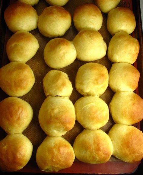 Angel Rolls Recipes Angel Rolls Recipe Rolls Recipe