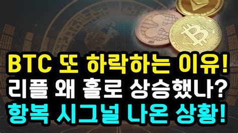 리플 비트코인 Btc 재반등 후 다시 하락세 이유 롱포지션 청산 Xrp 나홀로 양수 기록 Sec 합의 이룰까 바이낸스