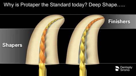 Protaper Ultimate Intro For Dentistpptx