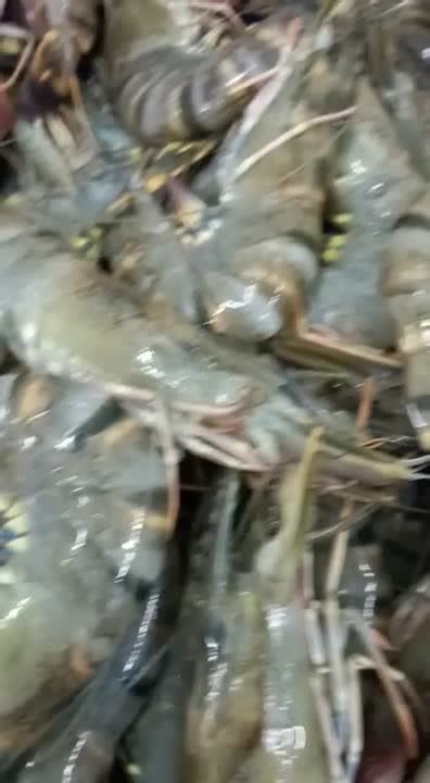 Venkata Suresh Ramkumar On Linkedin Huge Losses Appeared Exporters Due To Usage Of Dap Before