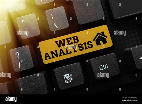 Handwriting Text Web Analysis Word Written On Web Analysis