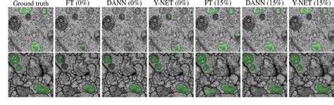 Figure 4 From Domain Adaptive Segmentation In Volume Electron