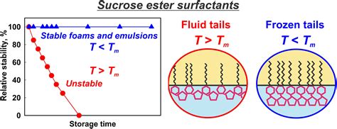 Slavka Tcholakova Lcpe