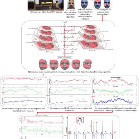 The Proposed Heart Rate Estimation Algorithm Architecture Download Scientific Diagram