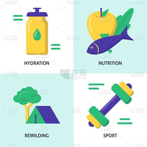 概念 扁平化设计 图标集 生物学 蔬菜 健康保健 运动 食品 改进