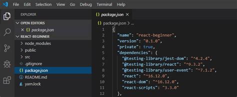 The First Steps In React Js For Absolute Beginners Zen Invader