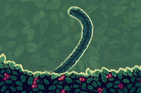 Abstract Green Leaves And Stem With Red Berries Premium Ai Generated Image