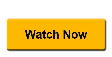 IEP S A Parent S Guide Sheng Chi Foundation