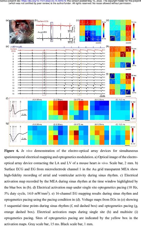 Biophotonicat On Twitter Multifunctional Flexible Electro Optical Arrays For Simultaneous