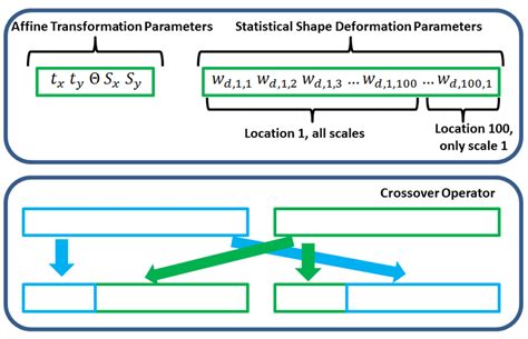In [154] Like In Many Other Statistical Shape Model Approaches Download Scientific Diagram