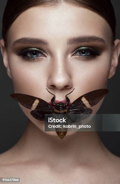 화려한 메이크업과 세미 아름 다운 여자의 초상화 아름다움 얼굴입니다 나비에 대한 스톡 사진 및 기타 이미지 나비 한 명의 여자만 사람 얼굴 Istock