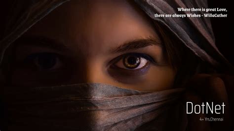 C Aspnet Core Mvc Web Api Developer