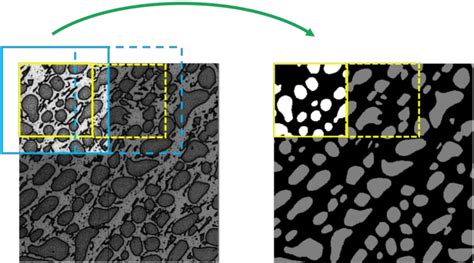 Figure 4 From Deep Learning Based Image Segmentation For Al La Alloy