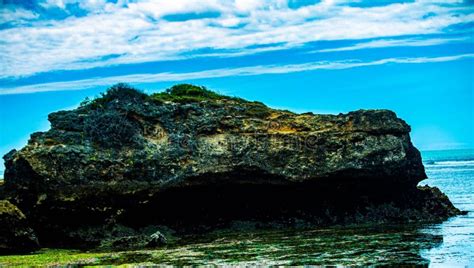 Coco Beach Tanzania Stock Image Image Of Tanzania Rashi 260606493