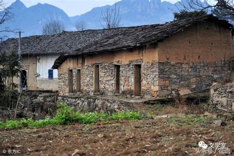 奇闻小说 ：刘主任建猪场！ 大柱 那条 表姐