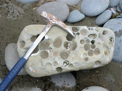 Trace Fossils Of The San Joaquin Valley