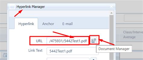 Encrypt Url In The Url Field In Hyperlink Manager Of Radeditor In Ui