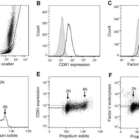Simultaneous Flow Cytometric Analysis Of Dna Content And Endocytosed Download Scientific