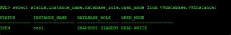 Oracle 12c Step By Step Configure Snapshot Standby Database Oracledbwr