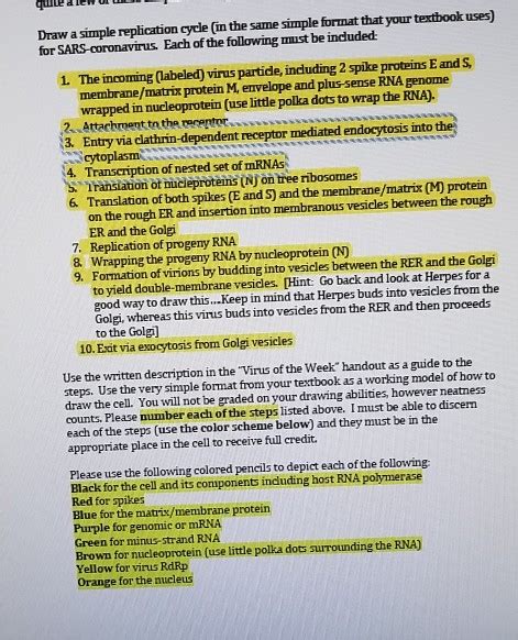 Draw A Simple Replication Cycle In The Same Simple
