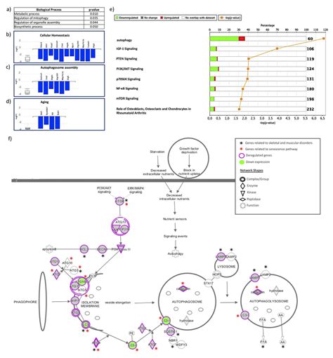 Bioinformatics Analysis Of Biological Process Terms And Pathways Among Download Scientific