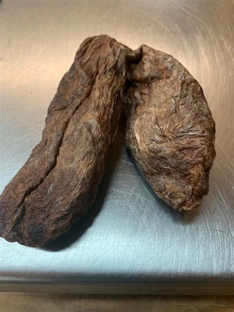 Buy Beaver Castoreum Glands In Pennsylvania Bill Worb Furs Inc