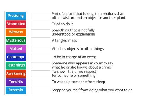 Grade 5 Module 2 Week 2 Vocabulary Match Up