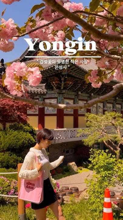 나만 알고 싶었지만 이미 유명한 겹벚꽃명소 🌸 Youtube