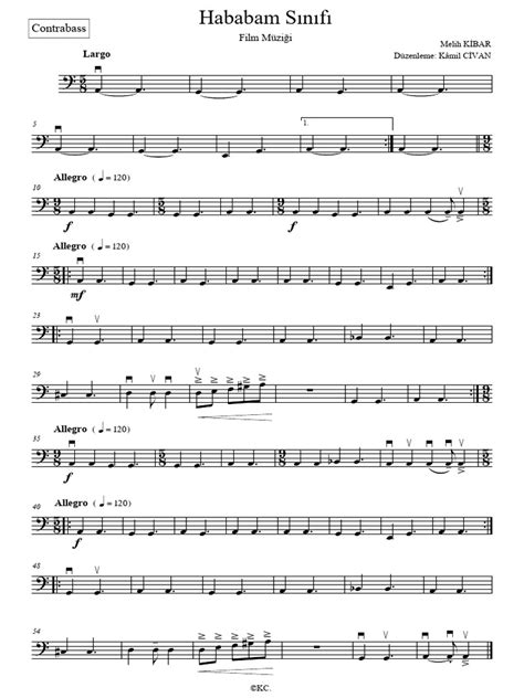 Hababam Sınıfı Contrabass Yeni Armoni Pdf