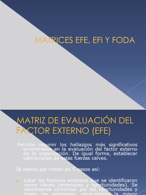 Matrices Efe Efi Y Foda Pdf Análisis Foda Economias