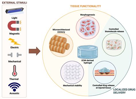 Polymers Free Full Text Recent Advances On Stimuli Responsive