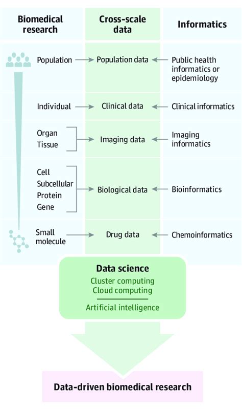 Biomedical Research And Informatics Approaches In Artificial Intelligence Download Scientific