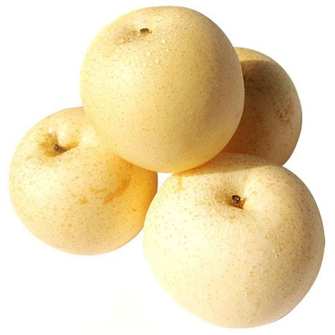 Fresh Sand Pear Asian Grocery Pear Apple Pear