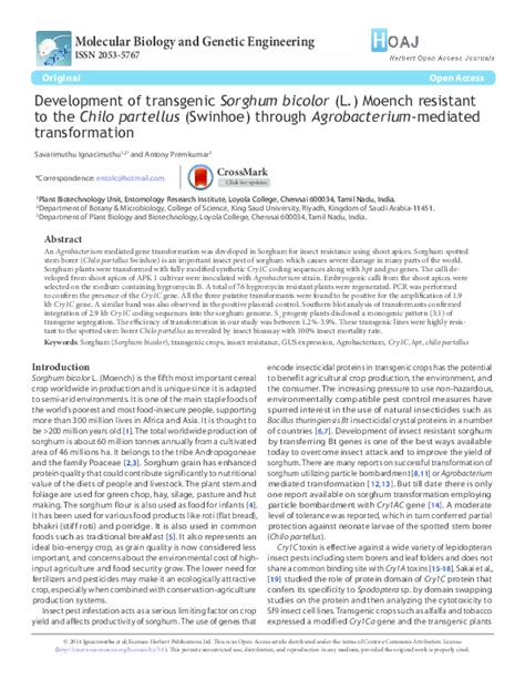Development Of Transgenic Sorghum Bicolor L Moench Resistant To The Chilo Partellus Swinhoe