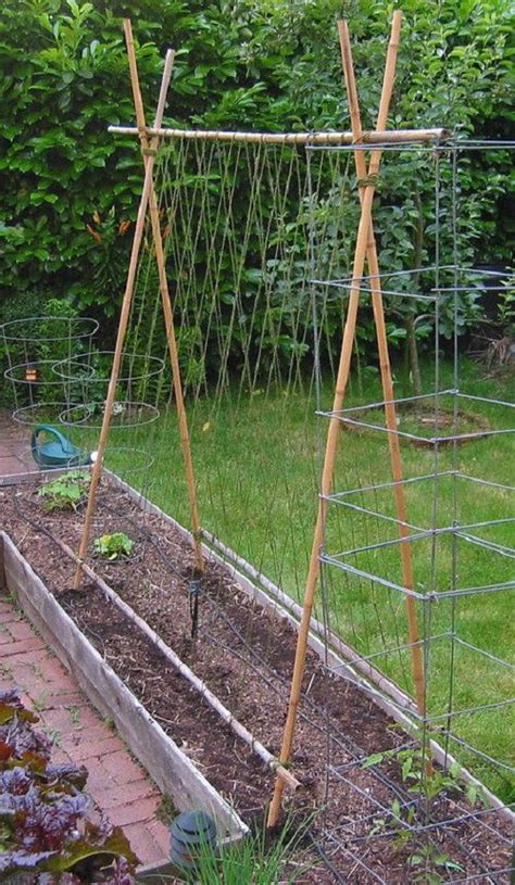 Easy And Cool DIY Bean Trellis Ideas Balcony Garden Web