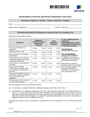 Fillable Online United States Of America US Person Declaration Form Fax Email Print PdfFiller