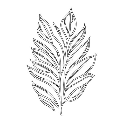 Parallel Leaf Floral Outline Illustration Sketch Stock Vector