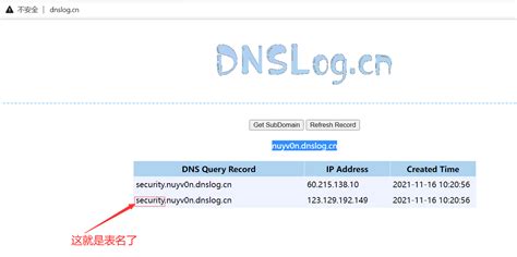Dnslog回显 Csdn博客