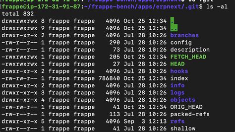 Bench Update Git Permission Error Install Update Frappe Forum
