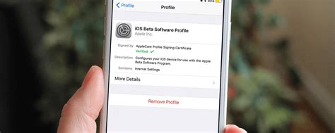 Remove Ios 12 Beta Profile Spacelimfa