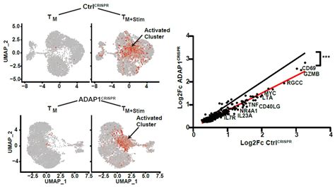 Github Bioinformatics Jeonlee Adap1 Promotes Hiv 1 Reactivation Scrna Seq Analysis Scrna Seq
