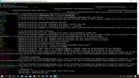 Problem While Starting The Web Server After Building Acousticbrainz