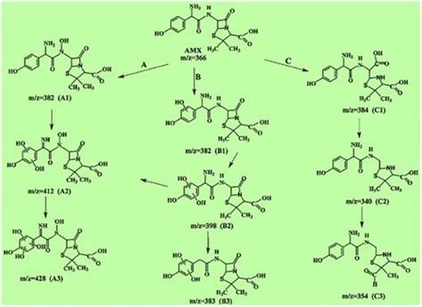Catalytic Degradation Of Amoxicillin From Water By A Combined System Of Ultrasound H2o2 Ki