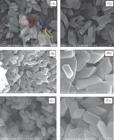 Fe Sem Pictures Of Gaooh Synthesized In The Presence Of Various