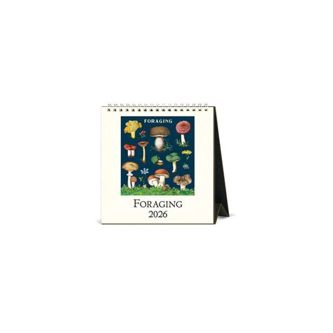 2026 Cavallini Desk Calendar Foraging
