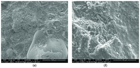 Microstructure Of Concretes A Reference 200× B Reference 5000× Download Scientific