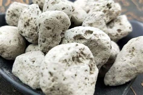 Fu Shi Fushi Hai Fu Shi Haifushi Fu Hai Shi For Sale Native Chinese