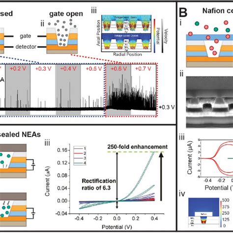 Kaiyu Fu Assistant Professor Doctor Of Philosophy University Of