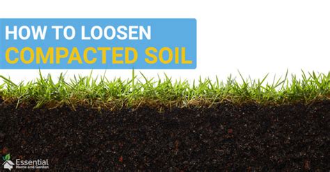 How To Loosen Compacted Soil And Improve Your Lawn